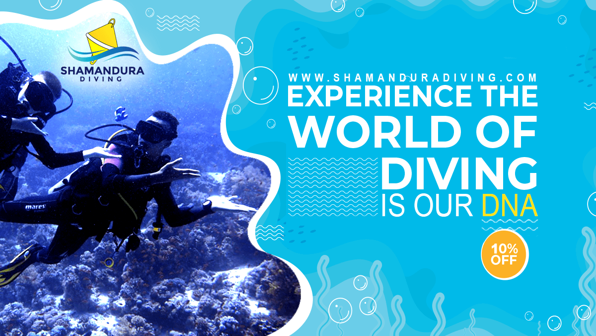 fb-cover – Shamandura Diving Club – Sharm El Sheik, Egypt